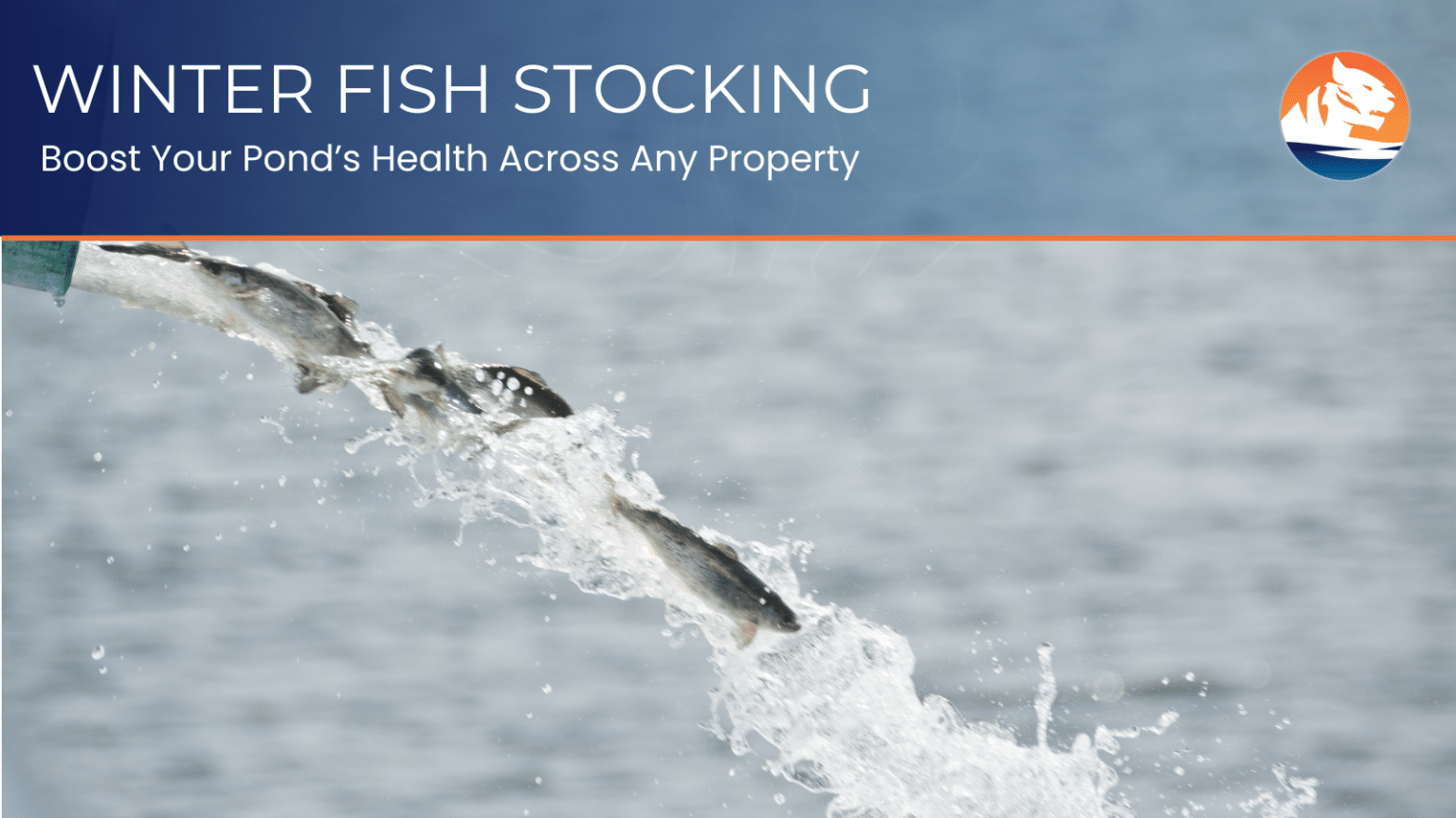 Winter Fish Stocking - TIGRIS Water Management